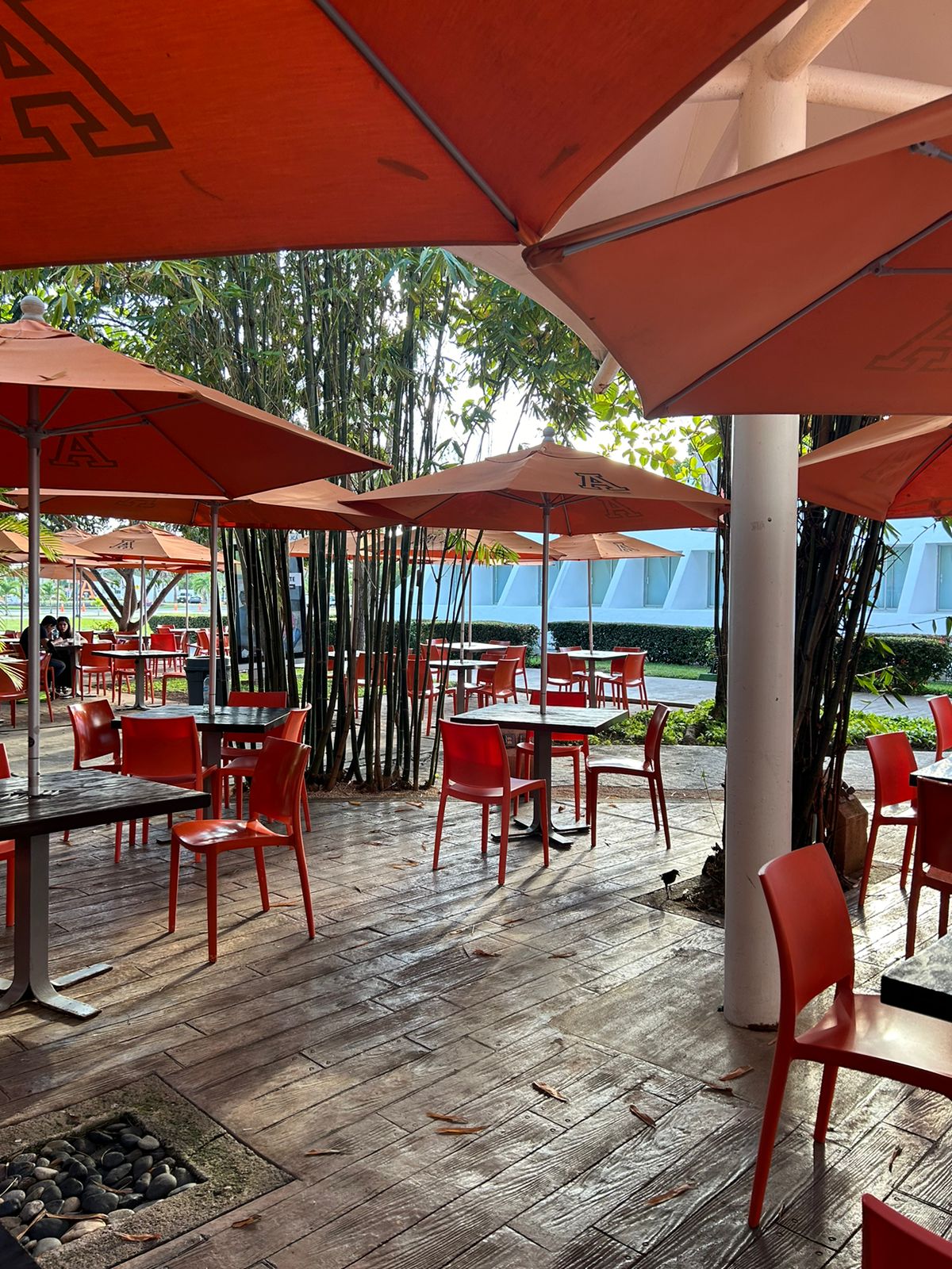 La verdad acerca de la comida en la Universidad Anáhuac Mayab - El Altavoz